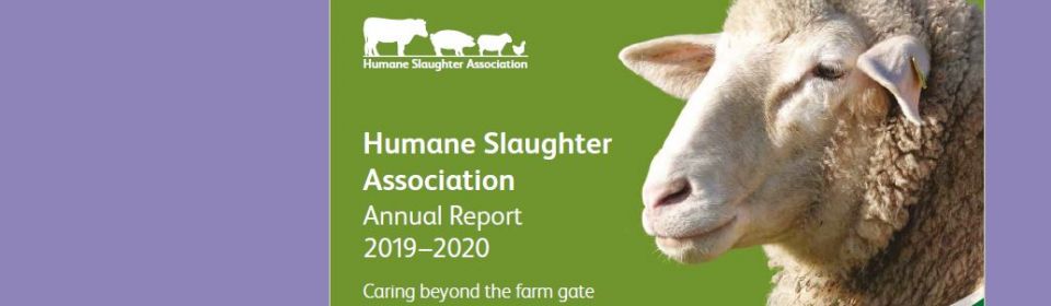Humane Slaughter Association, Improving Standards in Animal Welfare at ...